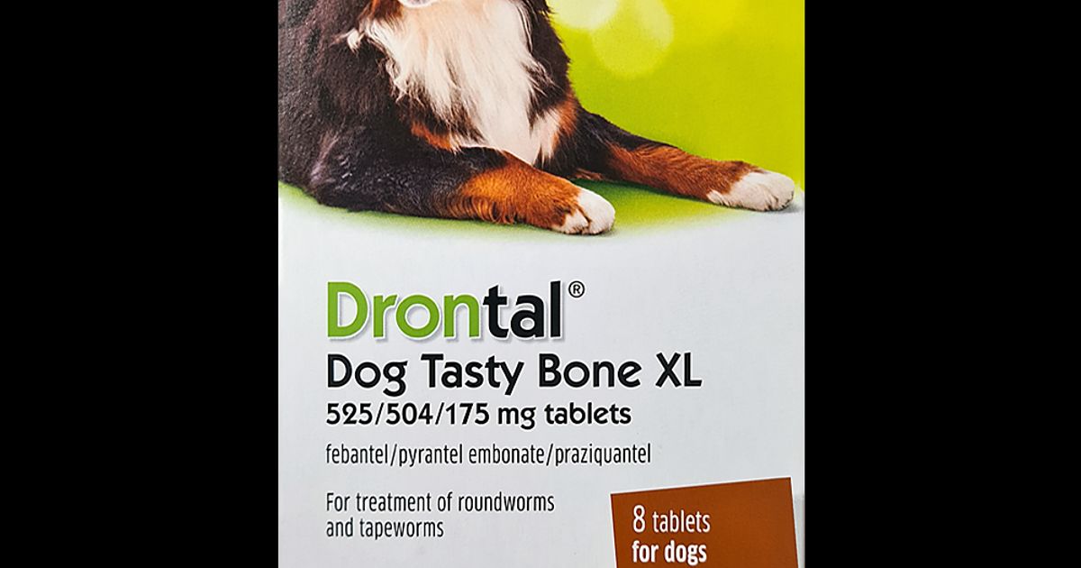 Drontal XL Tablets for Dogs Pack of 8