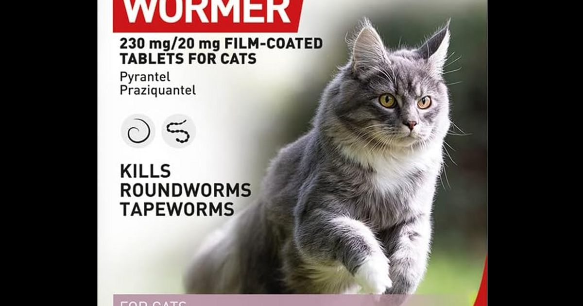 Frontline Wormer Flavoured Tablets For Cats Pack of 2