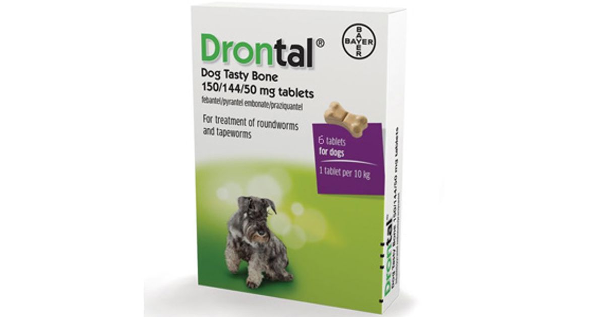Drontal Bone Shaped Tablets Pack of 6