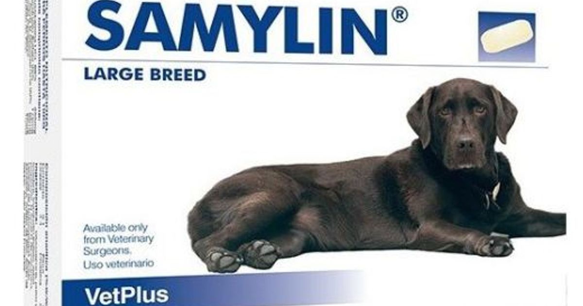 Samylin Large Breed Tablets Pack of 30
