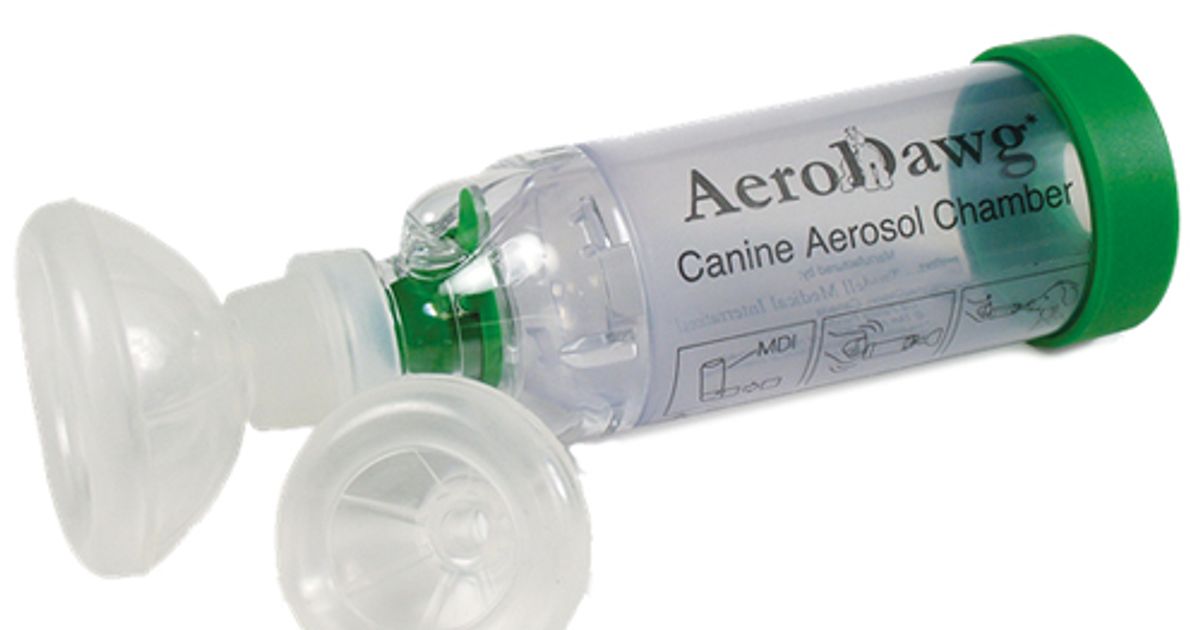 AeroDawg Canine Aerosol Chamber Large