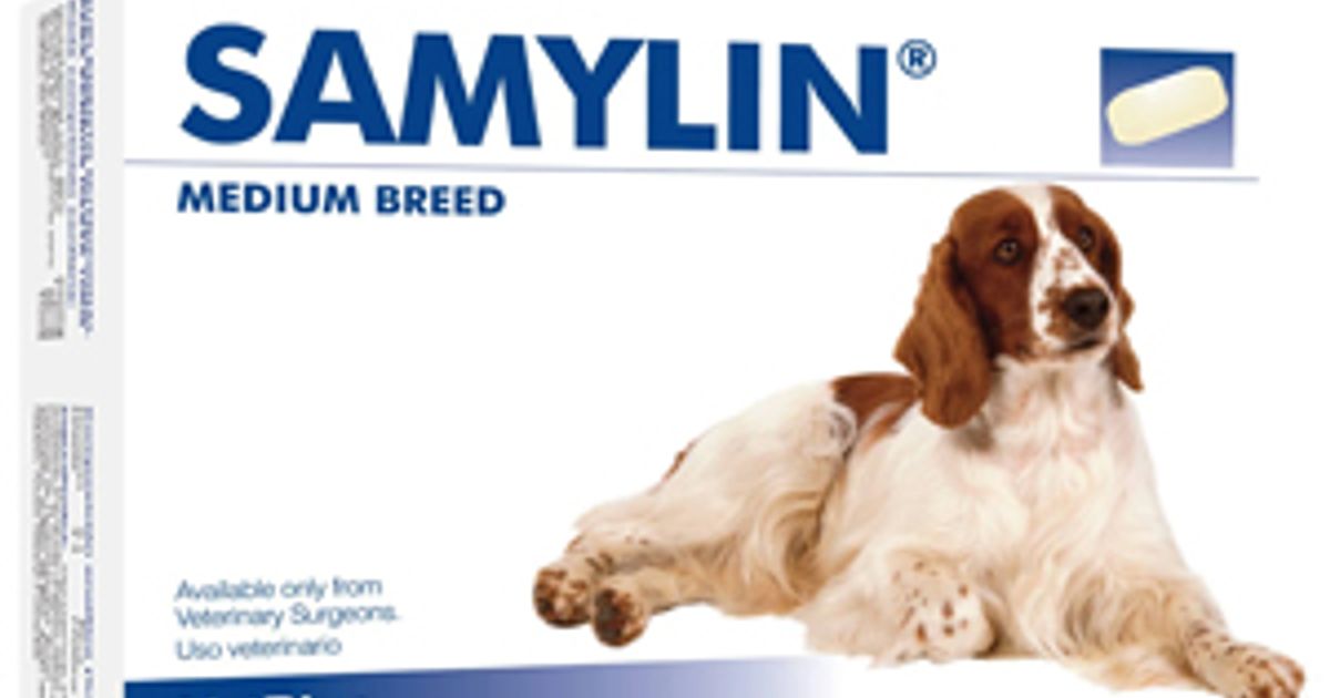 Samylin Medium Breed Tablets Pack of 30