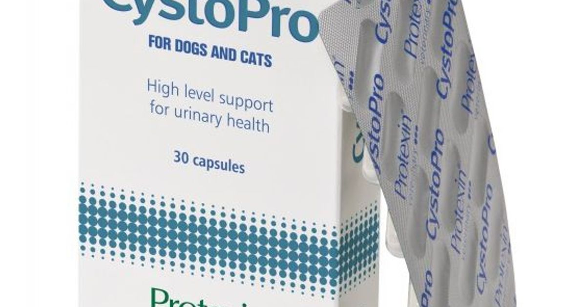 Protexin CystoPro Capsules Pack of 30