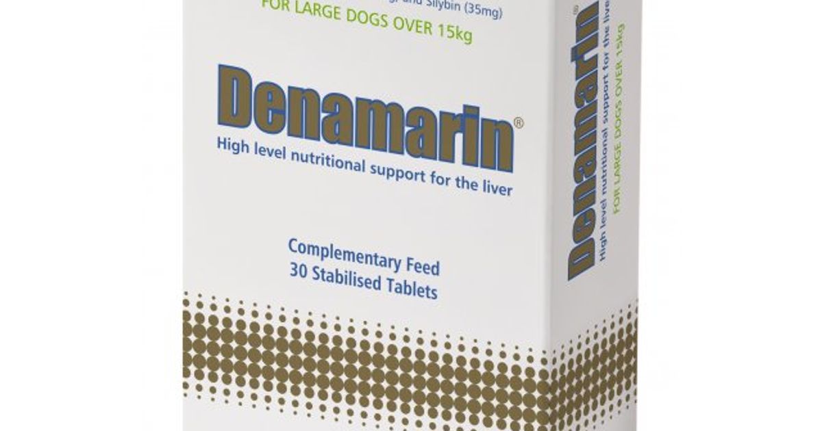 Denamarin Tablets for Large Dogs Over 15kg 425mg Pack of 30